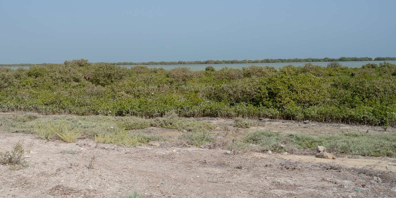 BESTE Kanu- & Kajaktouren Al Thakira Mangrovenwald 2025 – KOSTENLOS ...