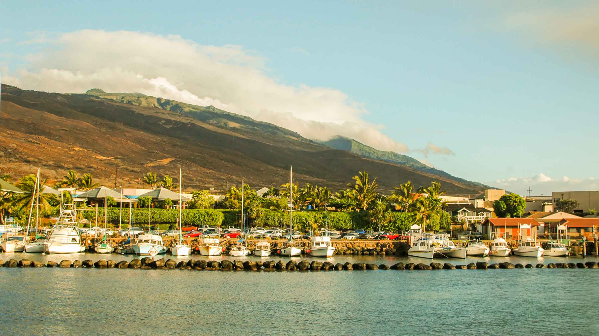 Maalaea Harbor, Maalaea - Book Tickets & Tours | GetYourGuide