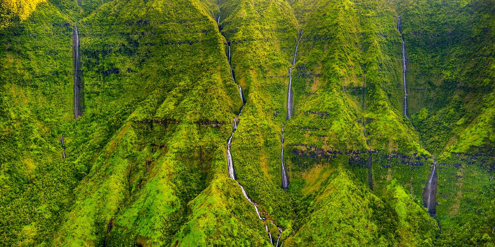 The BEST Waialeale Activities 2024 - FREE Cancellation | GetYourGuide