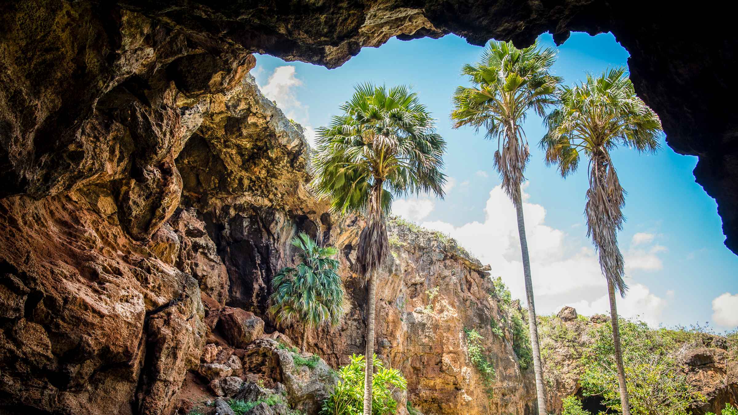 Makauwahi Cave Reserve Outdoor Activities | GetYourGuide