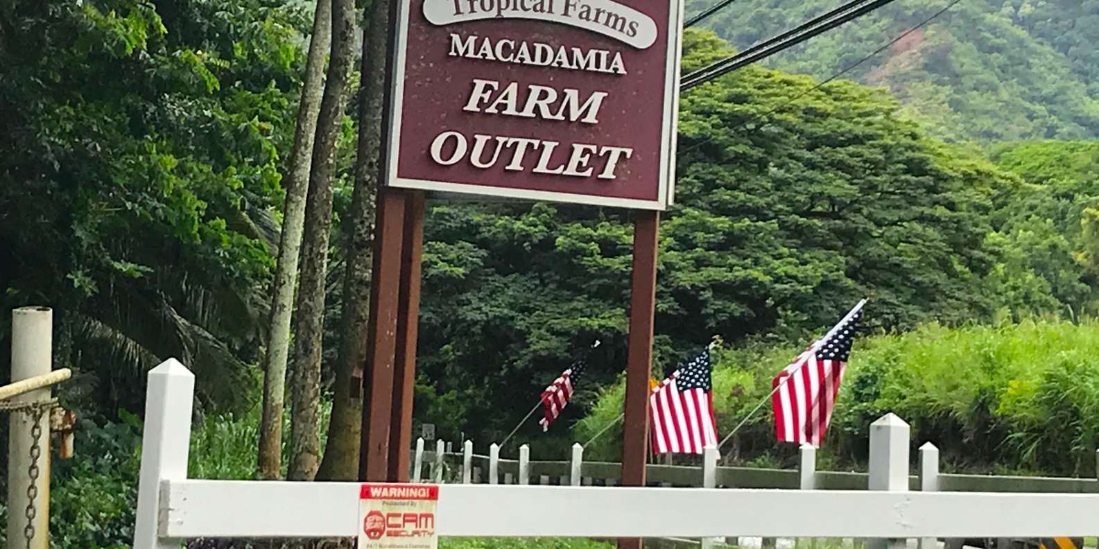 The BEST Tropical Farms Macadamia Nuts, Oahu Landmarks & monuments 2023 ...