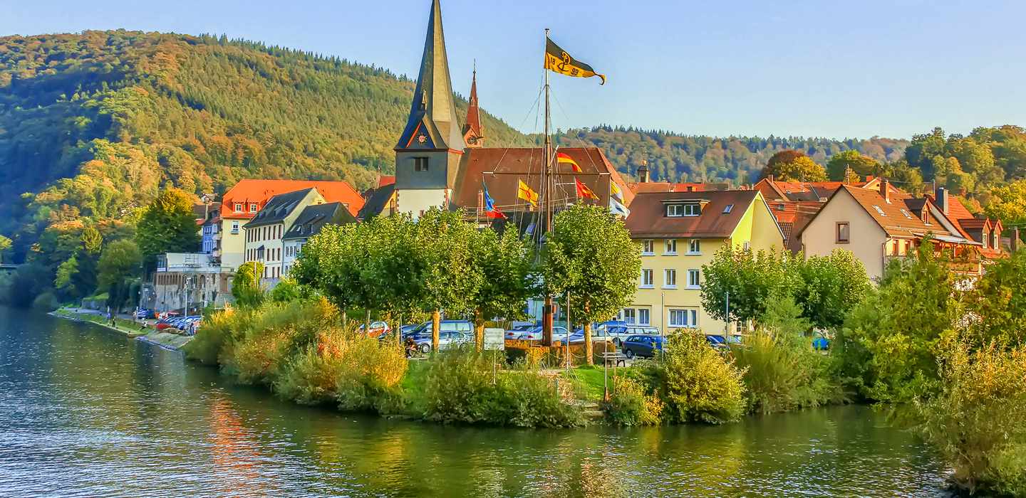 The BEST Neckargemünd Tours 2024 - FREE Cancellation | GetYourGuide