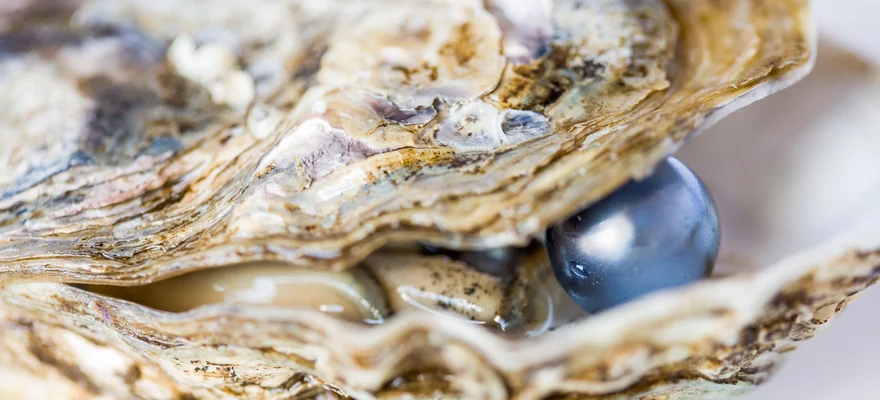 Cygnet Bay Pearl Farm, Kimberley, Australia - Book Tickets & Tours ...