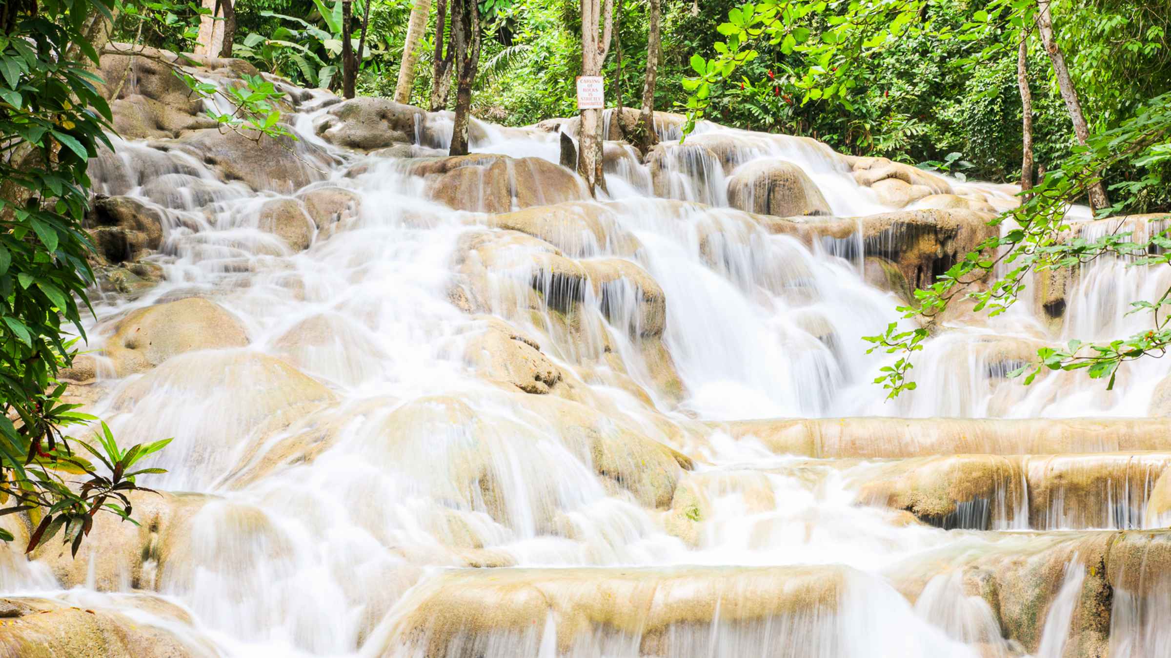 Cascadas del Río Dunn Senderismo | GetYourGuide