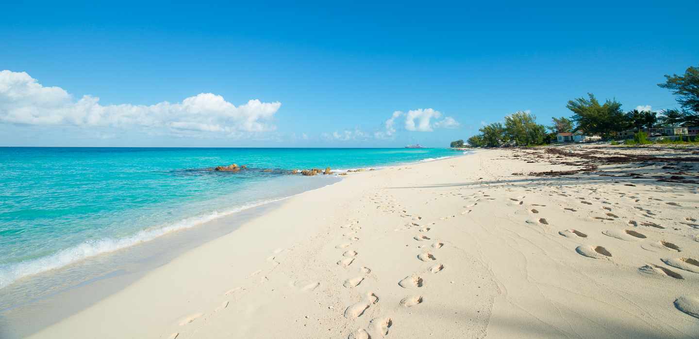 Day Trips from Bimini Islands | GetYourGuide