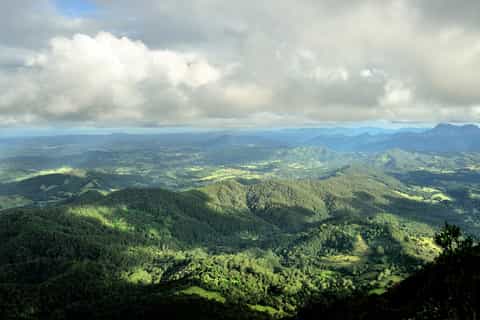 Parc national de Springbrook, Gold Coast - Réservez des tickets pour ...