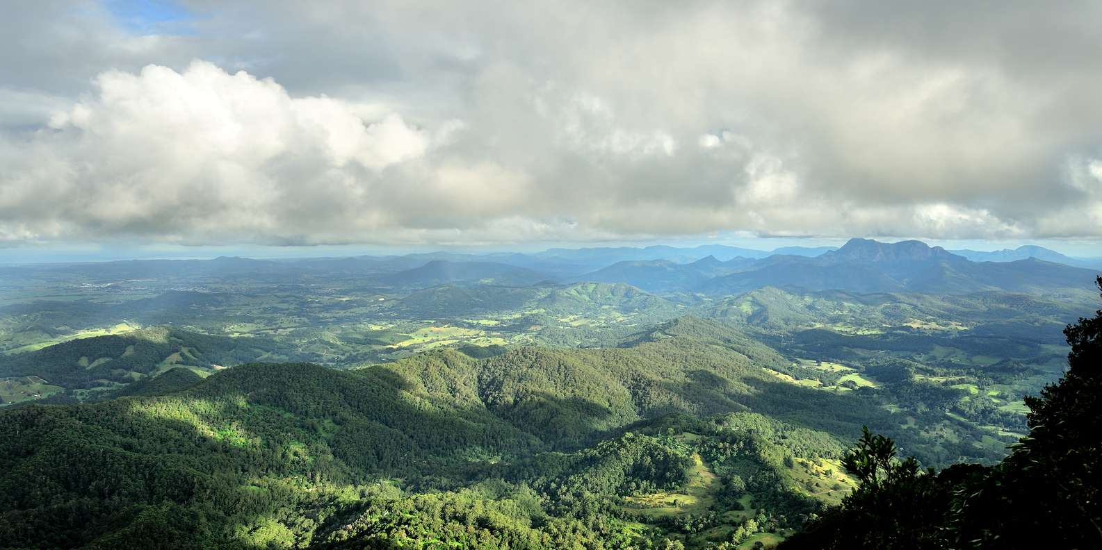 The BEST Springbrook National Park, Queensland Autumn activities 2023 ...