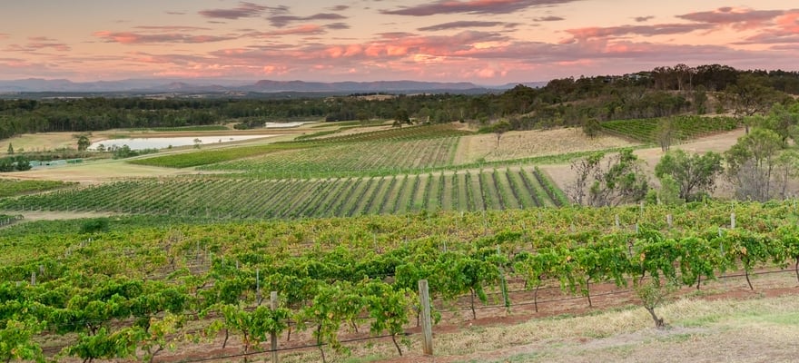 Hunter Valley Resort, Pokolbin - Book Tickets & Tours | GetYourGuide