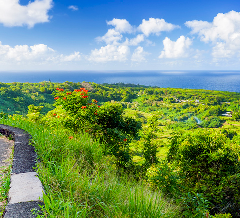 The BEST Hana Tours and Things to Do in 2023 - FREE Cancellation ...