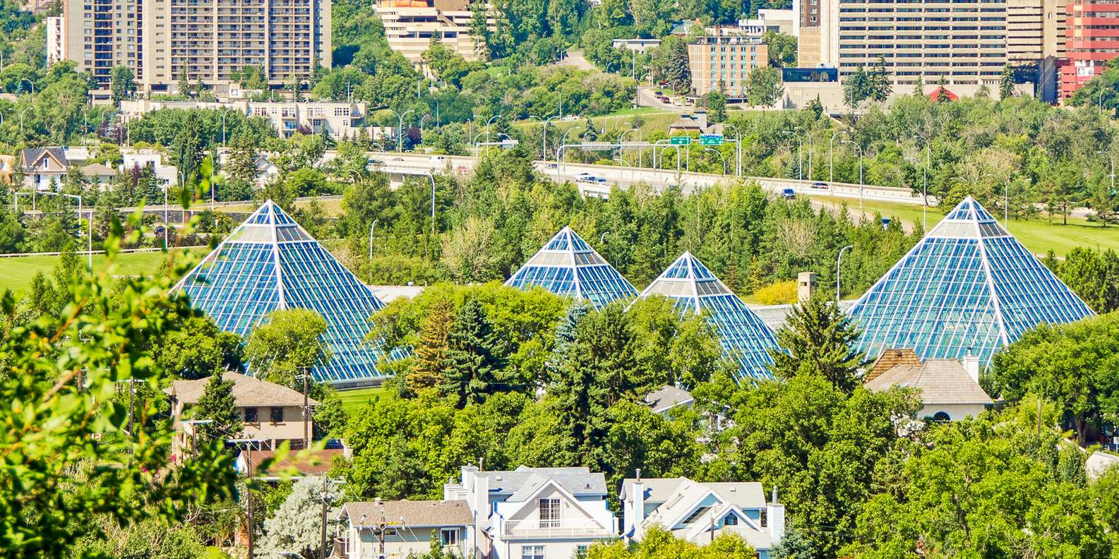 The BEST Muttart Conservatory Viewing points 2025 - FREE Cancellation ...
