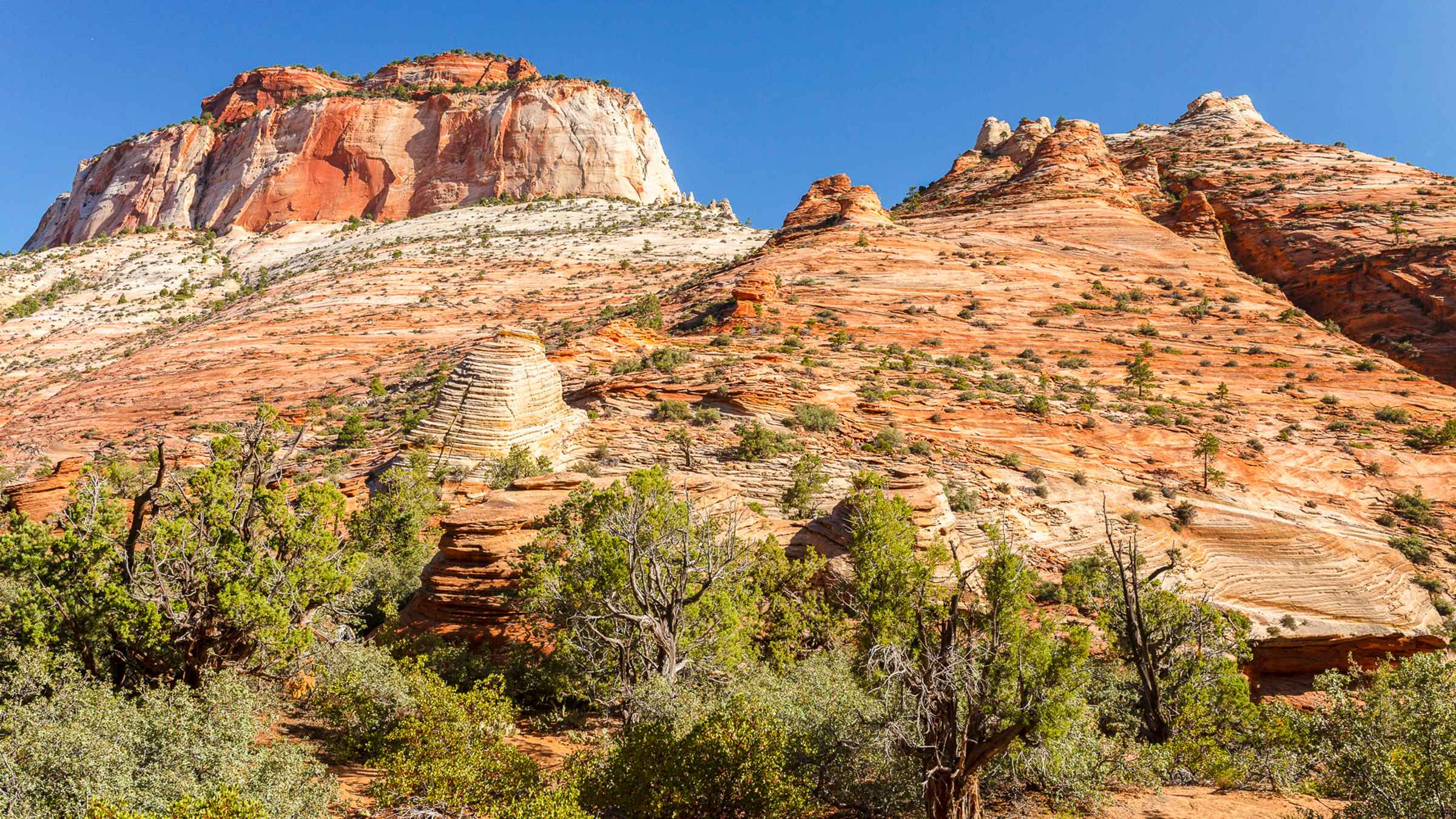 The BEST Orderville Outdoor Activities 2021 - FREE Cancellation ...