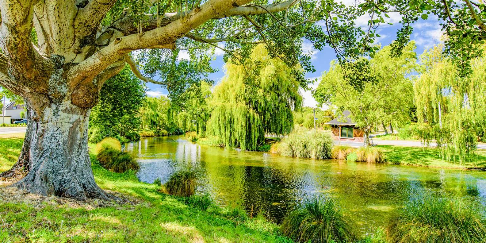 BEDSTE Avon-floden, New Zealand God til grupper 2025 - GRATIS ...