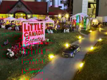 The BEST Toronto Tours and Things to Do in 2023 - FREE Cancellation ...