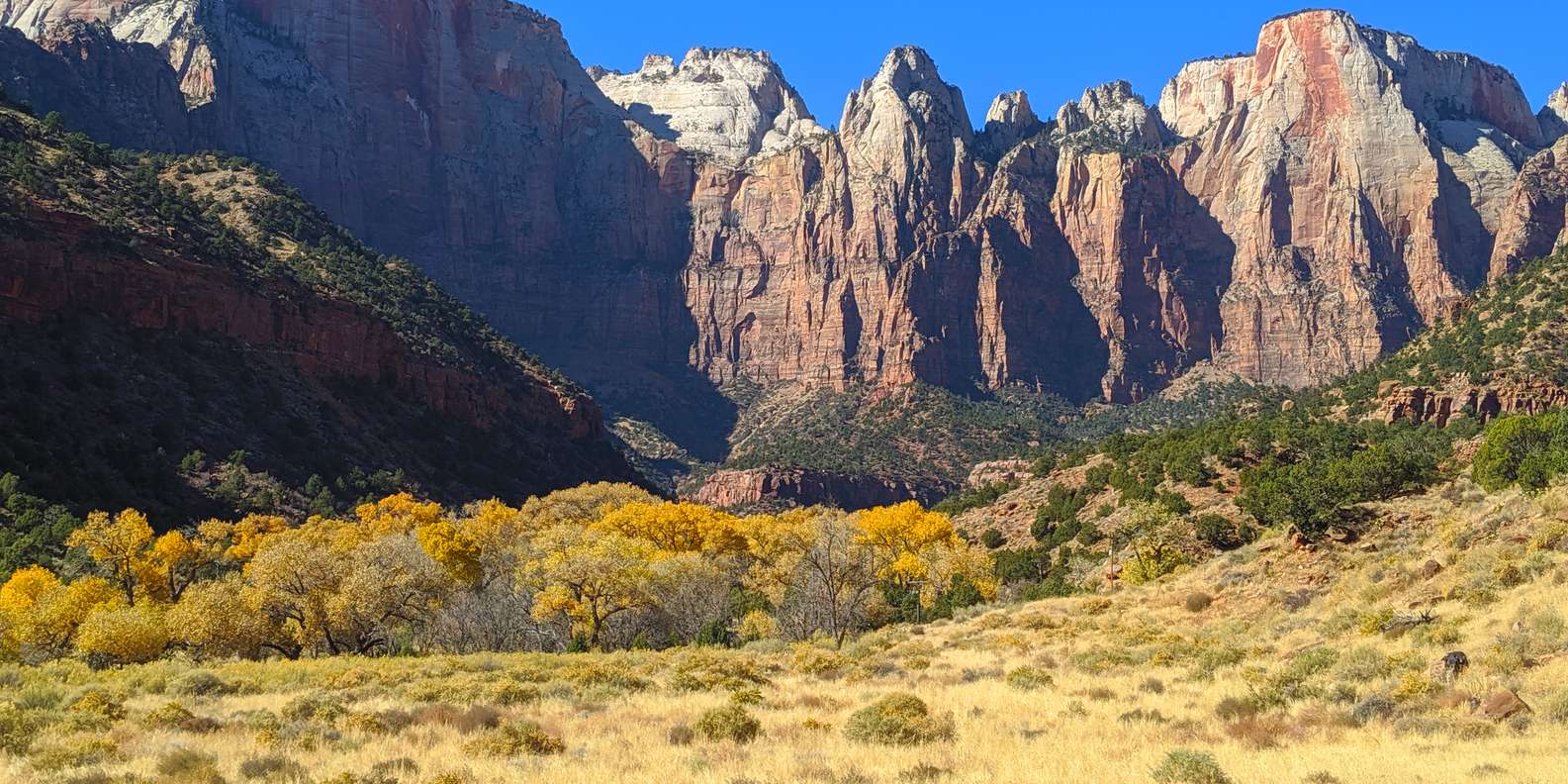 The BEST The West Temple, Zion National Park Spring activities 2023 ...