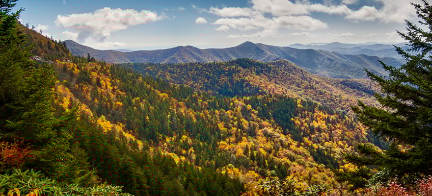 The BEST Blue Ridge Mountains Tours and Things to Do in 2024 - FREE ...