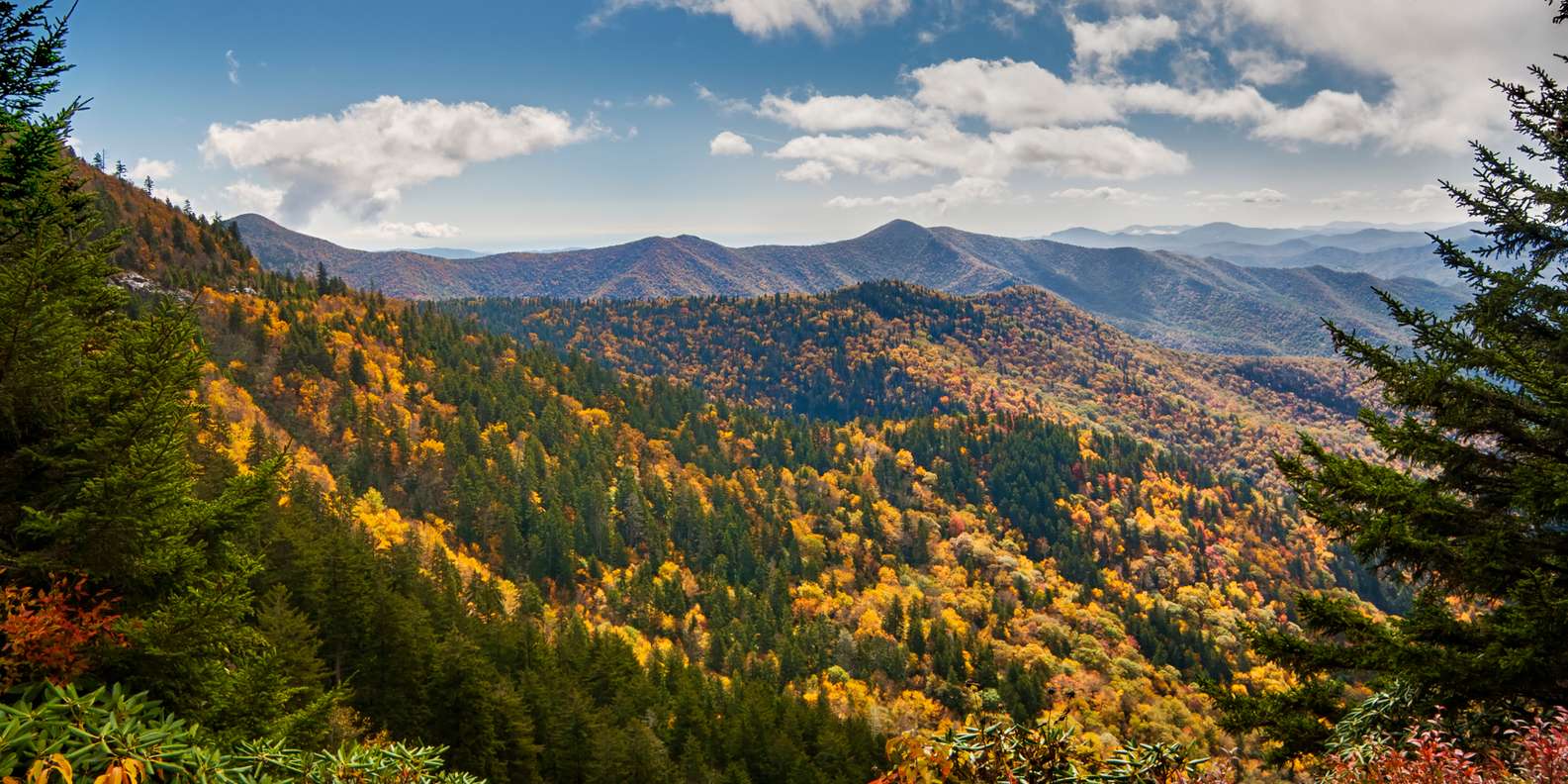 The BEST Blue Ridge Mountains Spring activities 2023 - FREE ...