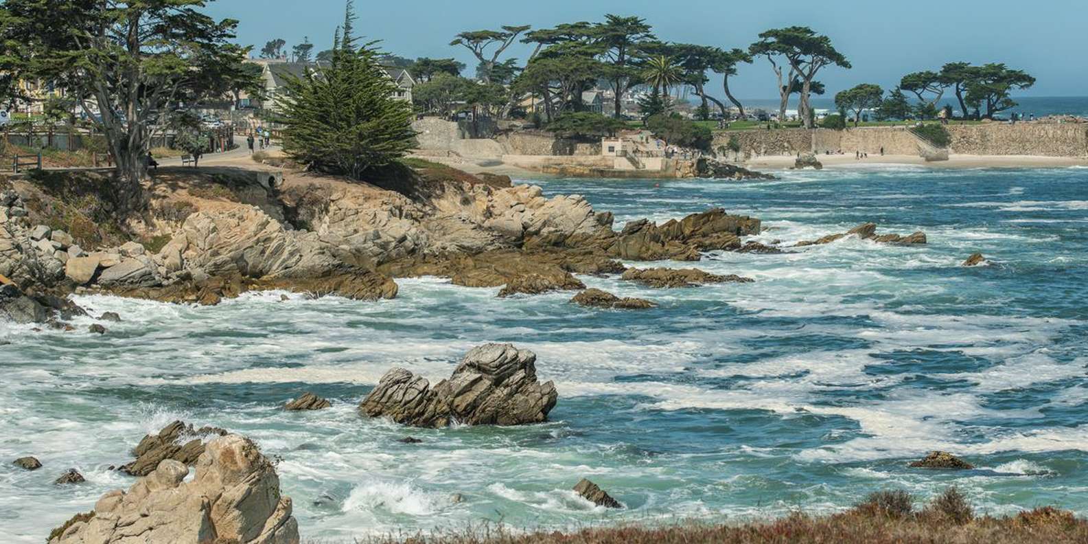 Gita di 1 giorno da Contea di Monterey, California | GetYourGuide