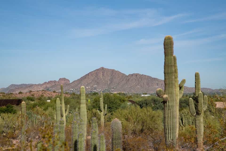 The BEST Downtown, Phoenix Tours and Things to Do in 2022 - FREE ...