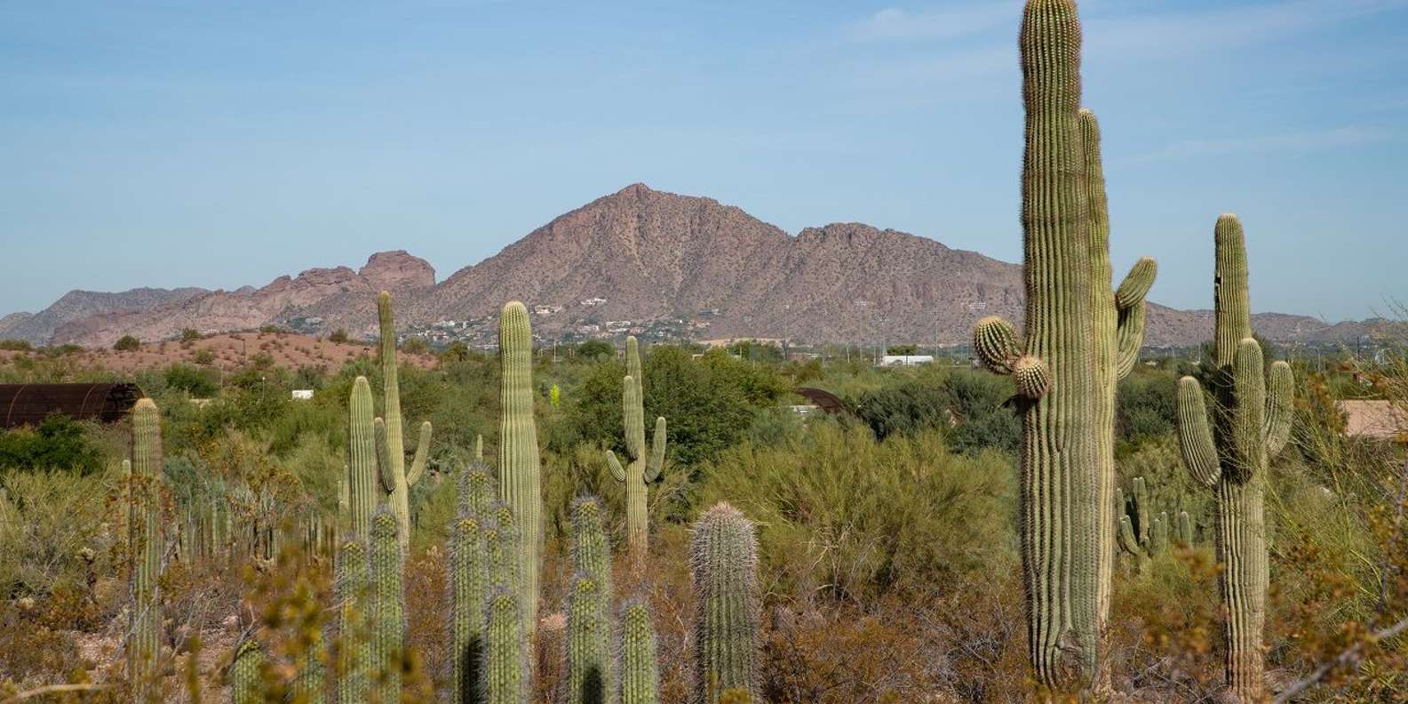 The BEST Camelback Mountain, Phoenix Tours 2023 - FREE Cancellation ...