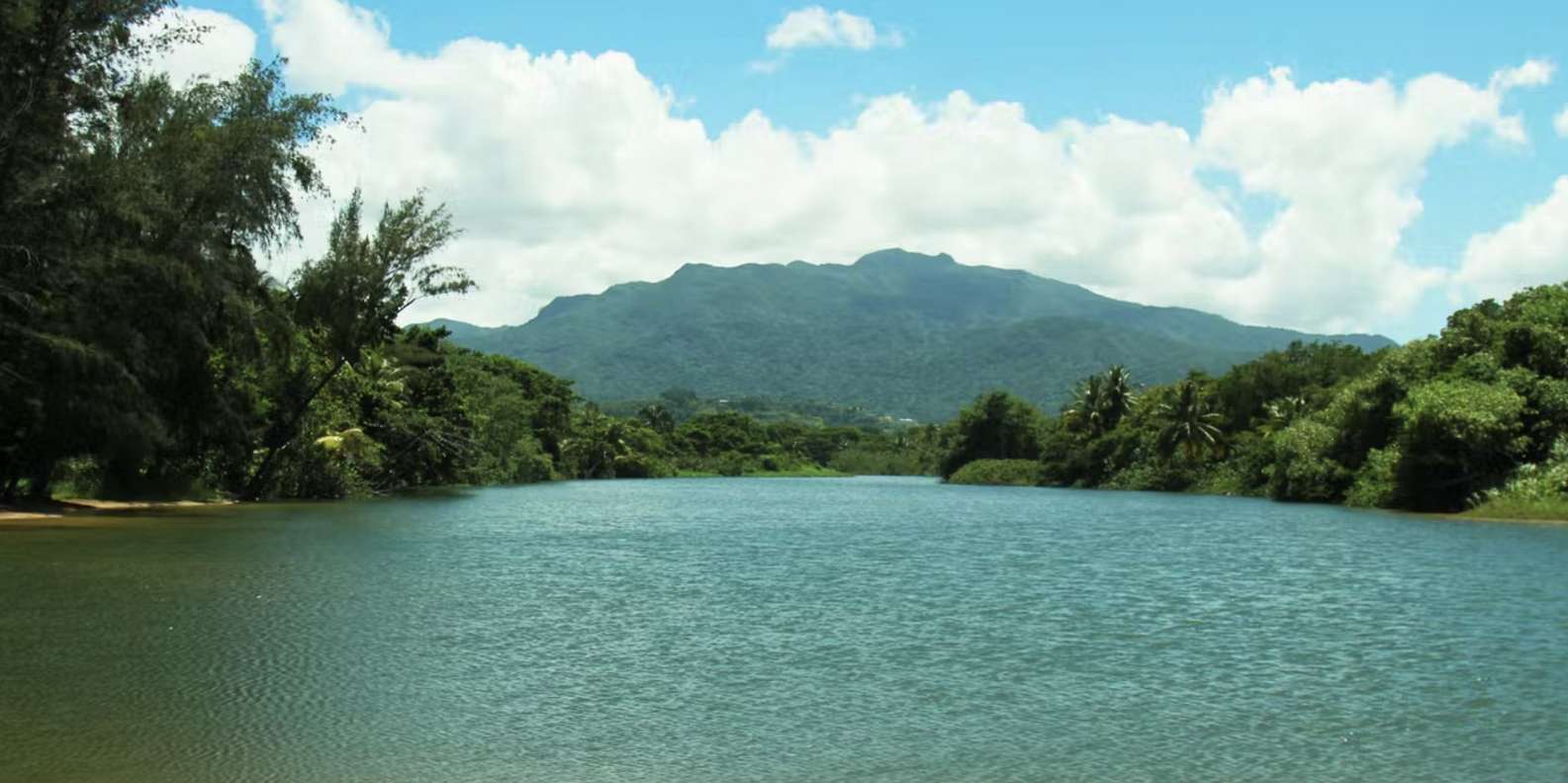 The BEST Carabalí Rainforest Park Safaris & wildlife activities 2025 ...