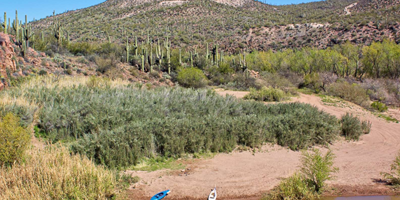 Río Verde, Arizona Parques nacionales: lo MEJOR de 2023 - Cancelación ...