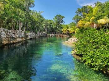 Jungla Maya Native Park, Tulum - Tickets & Eintrittskarten | GetYourGuide