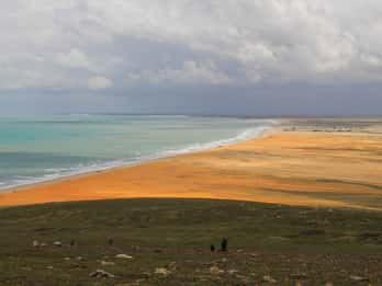 The BEST Northeast Region, Brazil Tours and Things to Do in 2023 - FREE ...