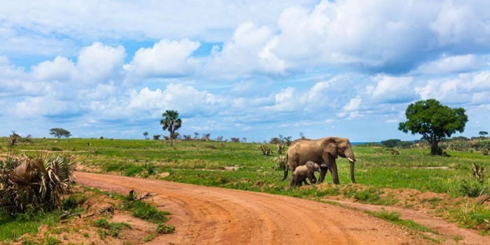 Dagtrip vanuit Nationaal Park Murchison Falls | GetYourGuide