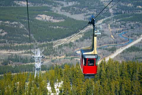 Jasper SkyTram Tickets & Tours (Verified Reviews) | GetYourGuide