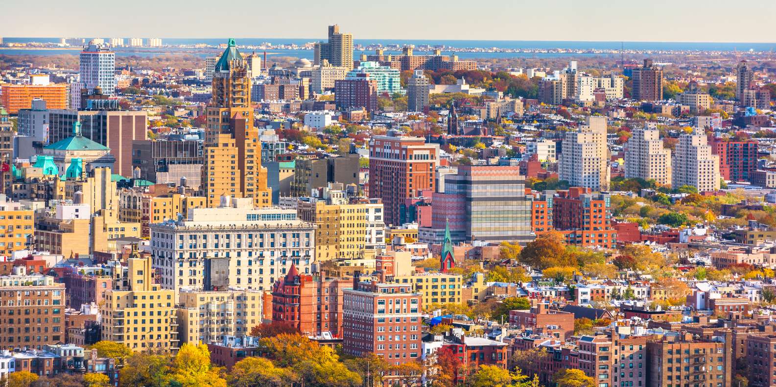 The BEST Downtown Brooklyn Sightseeing on wheels 2023 - FREE ...