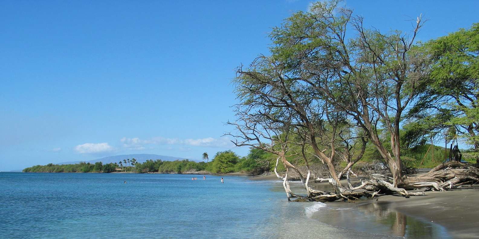 The BEST Olowalu Tours and Things to Do in 2024 - FREE Cancellation ...