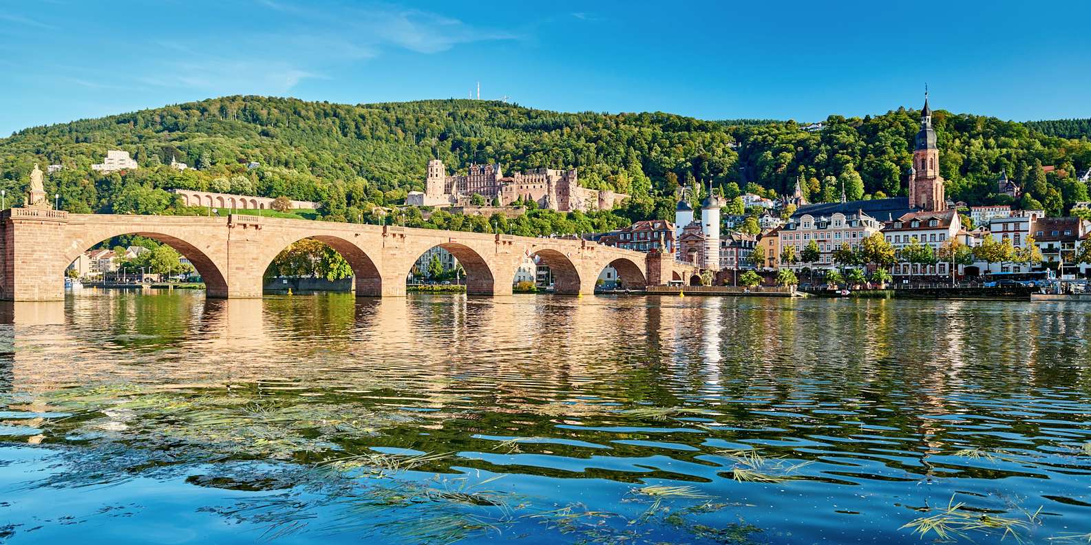 Rhein (Heidelberg), Rhein Neckar Region - Tickets & Eintrittskarten ...