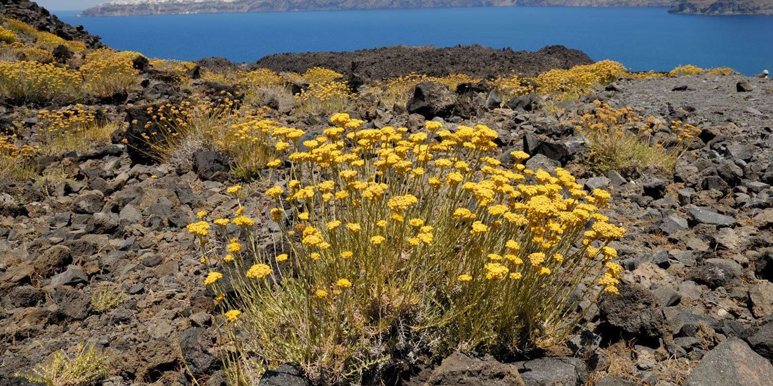 BESTE Essen und Trinken Santorini caldera 2023 – KOSTENLOS stornierbar ...