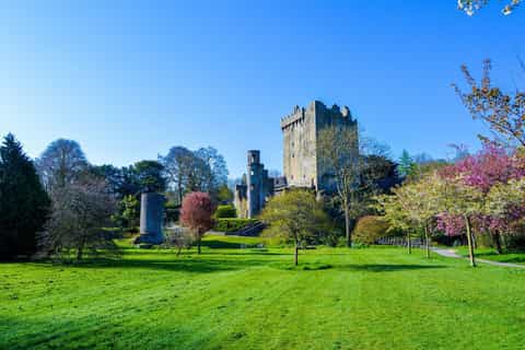 Blarney Stone, Blarney Castle, County Cork - Book Tickets & Tours ...