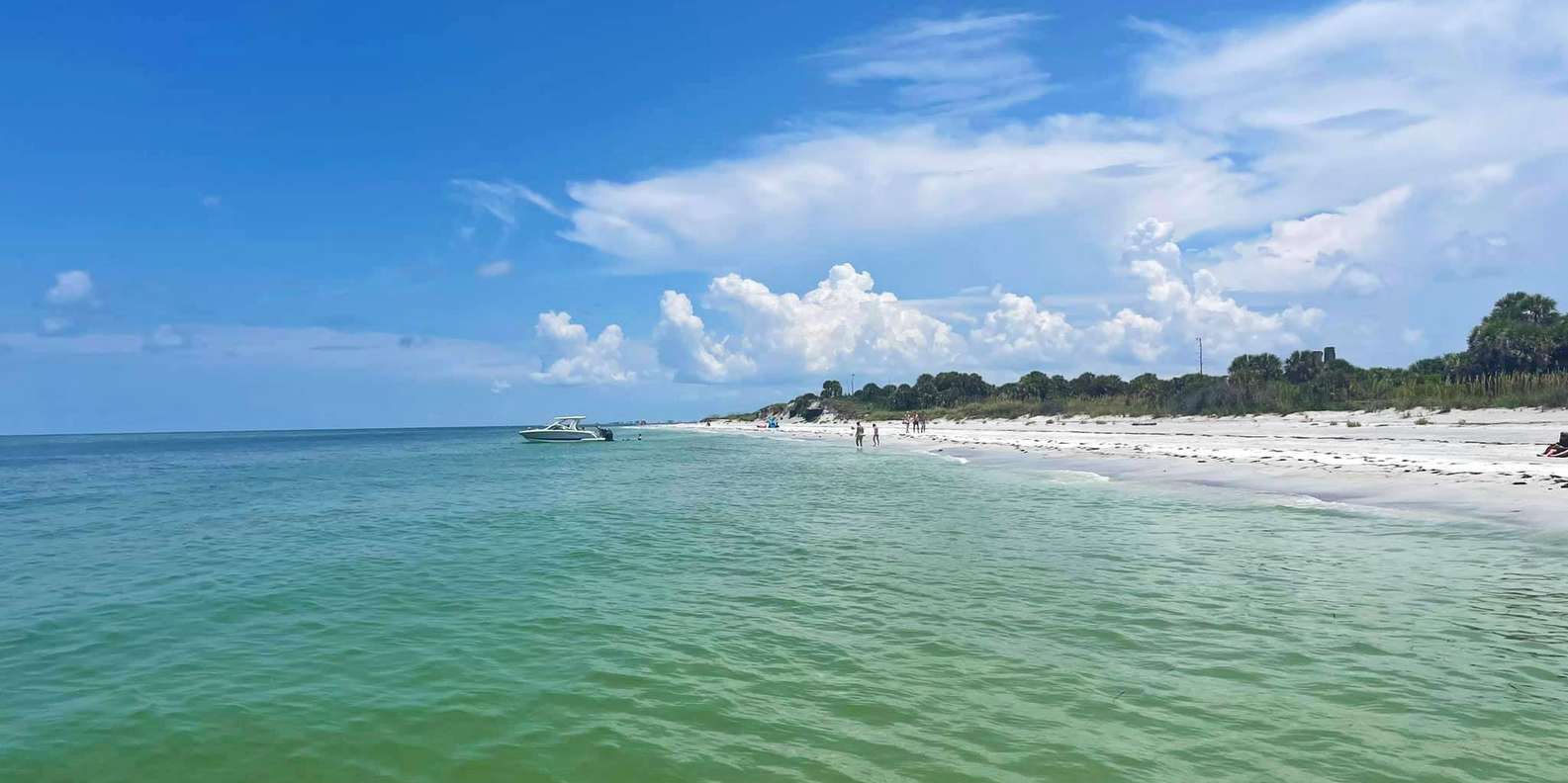 BESTE Sightseeing-Bootsfahrten Fort De Soto Park, Florida 2024 ...