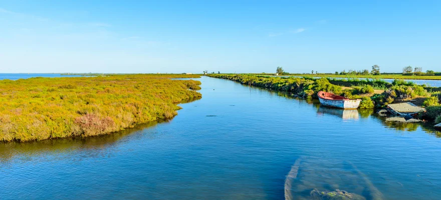 Delta rzeki Ebro - Terres de l'Ebre: Zdobądź bilety | GetYourGuide