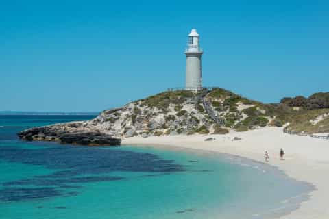 Day Trips from Rottnest Island | GetYourGuide
