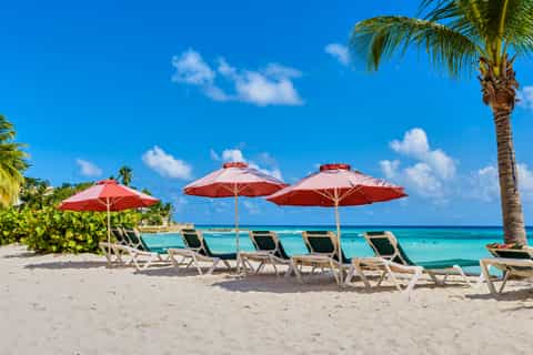The best Barbados Cruises & boat tours 2026 - Free cancellation ...