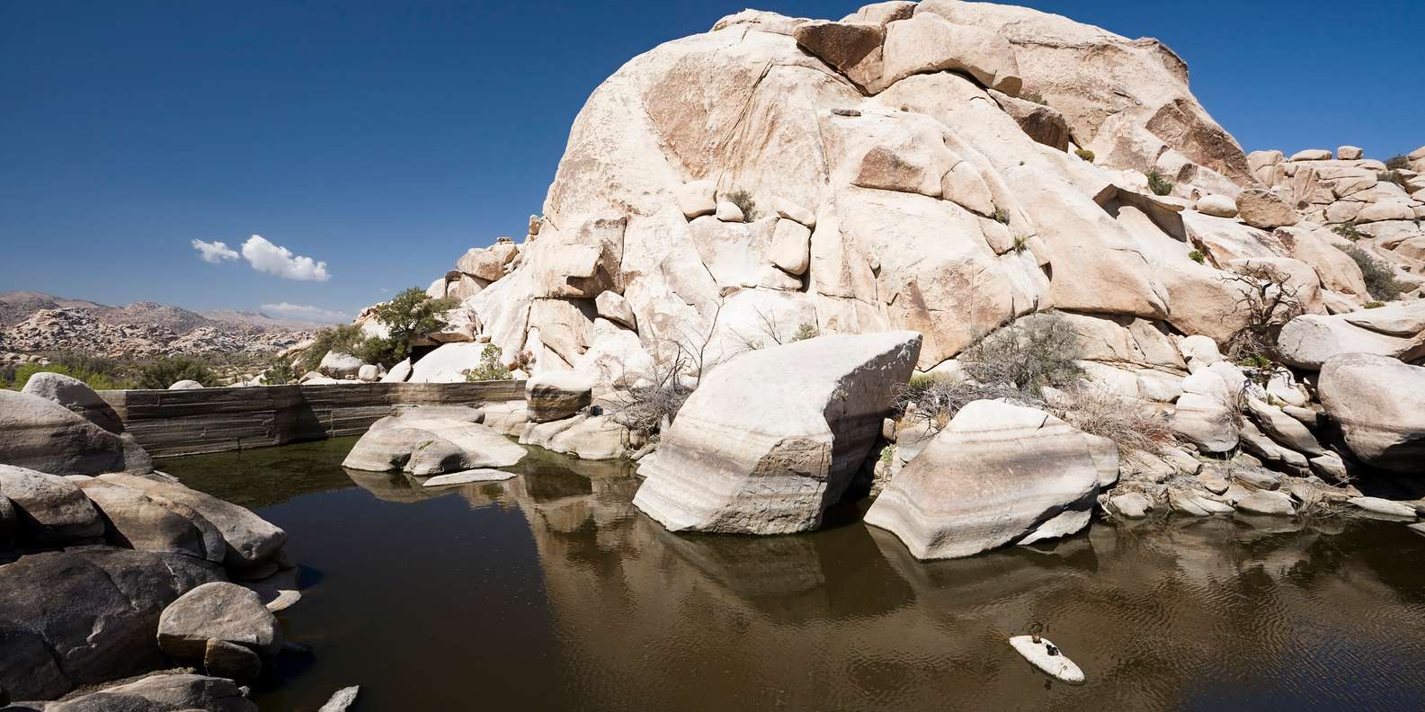 BESTE Nationalparks Barker Damm 2025 – KOSTENLOS stornierbar | GetYourGuide