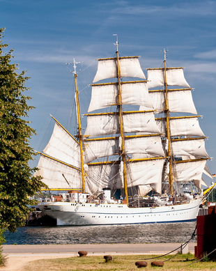 The BEST Kiel Tours and Things to Do in 2024 - FREE Cancellation ...