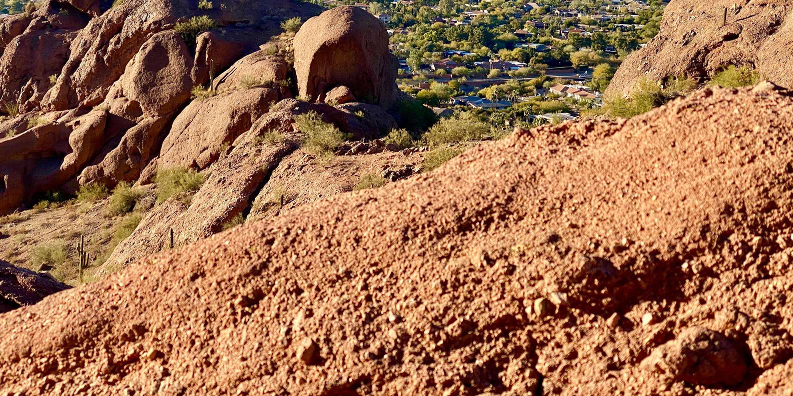 Phoenix Mountains Preserve, Phoenix - Book Tickets & Tours | GetYourGuide