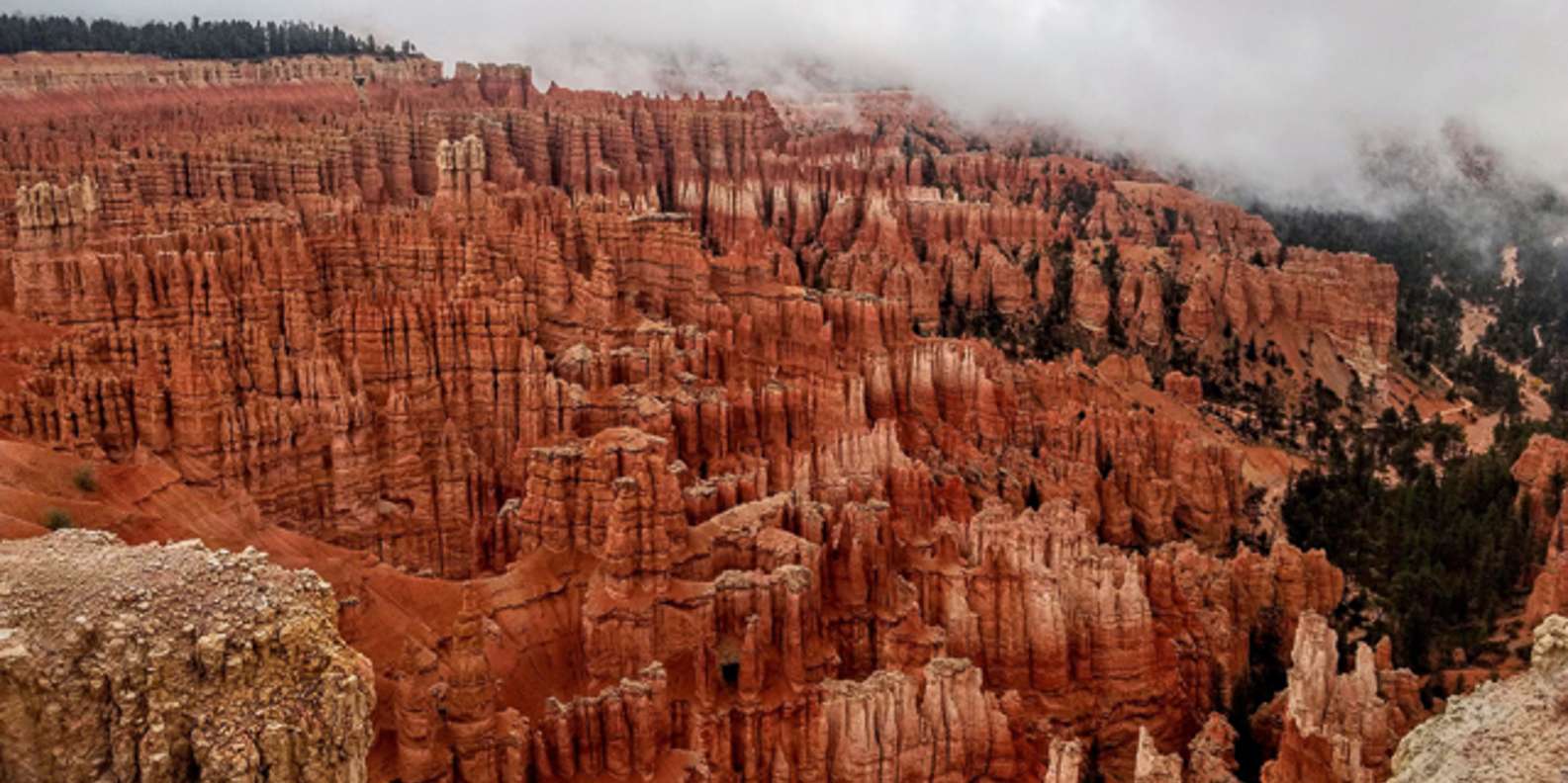 The BEST Inspiration Point, Bryce Canyon National Park Good for groups ...