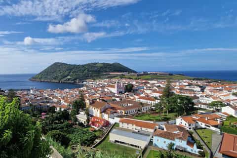 The best Terceira Dolphin & whale watching 2026 - Free cancellation ...