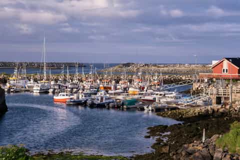 The BEST Andenes Safaris & wildlife activities 2023 - FREE Cancellation ...