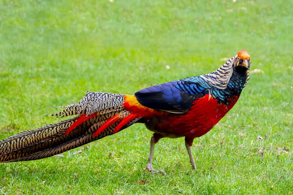 MEJORES actividades y cosas que ver en Phoenix en 2022, cancelación ...