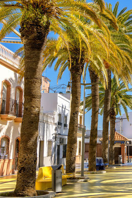 The BEST Huelva Tours and Things to Do in 2024 - FREE Cancellation ...