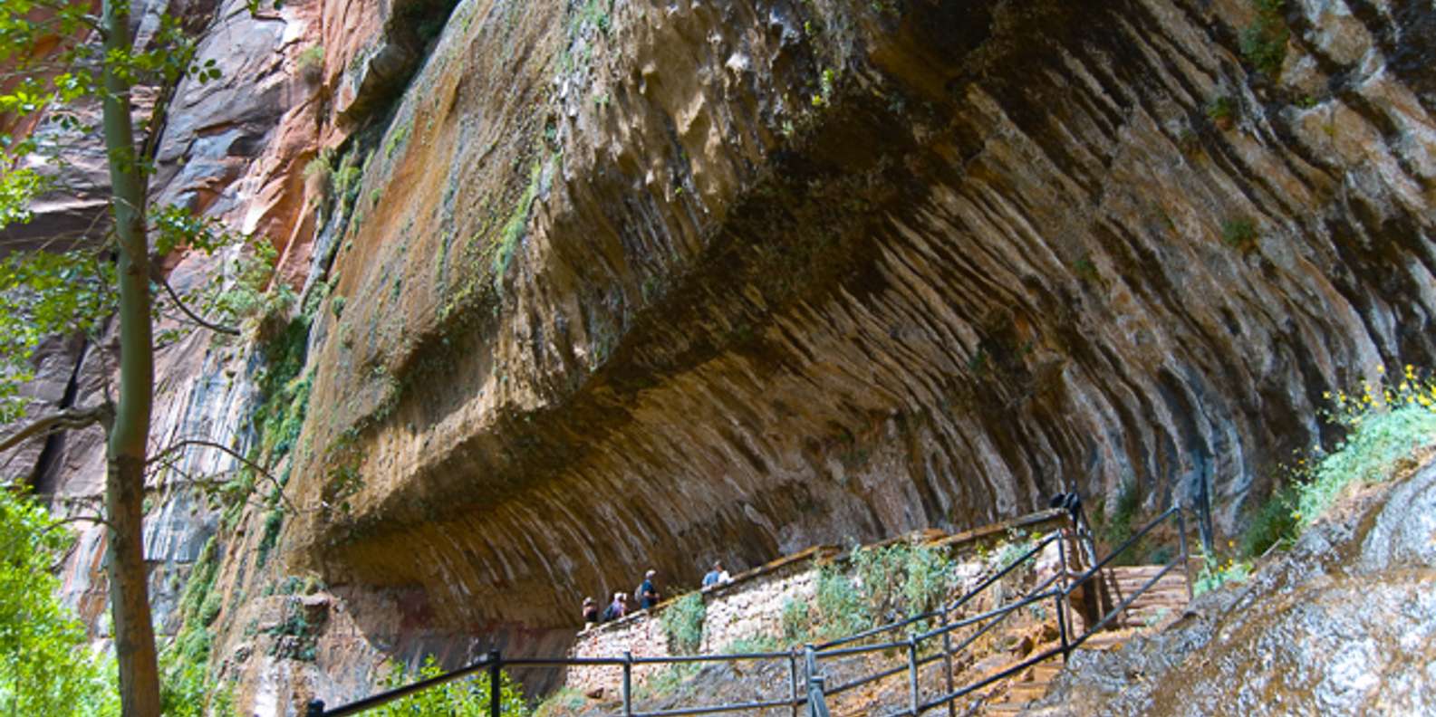 The BEST Weeping Rock, Zion National Park Small group activities 2023 ...