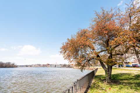 Day Trips from Georgetown Waterfront Park | GetYourGuide