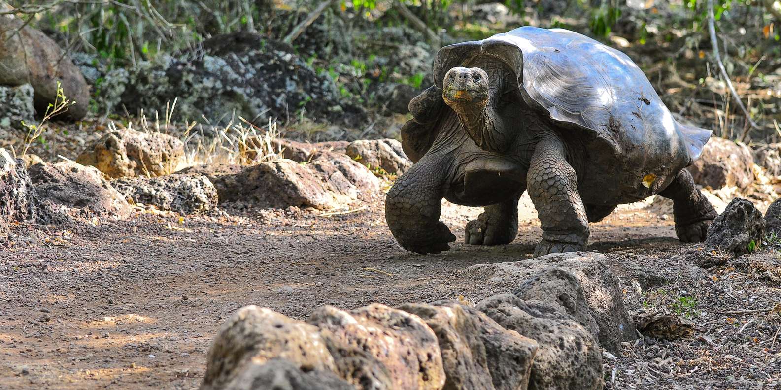 The BEST San Cristobal Island, Galapagos Islands Tours and Things to Do ...