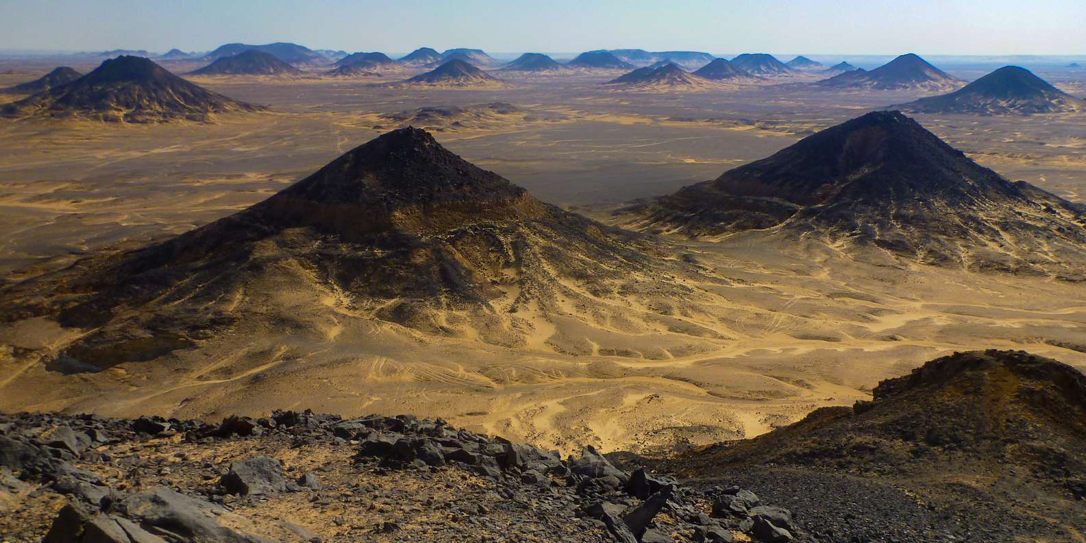 Book Things To Do, Attractions, and Tours | GetYourGuide